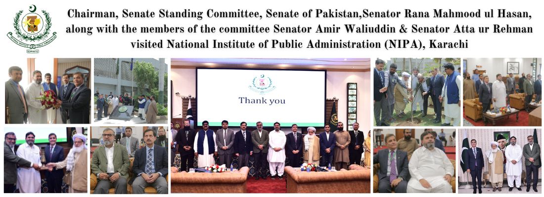 National Institute of Public Administration > Download