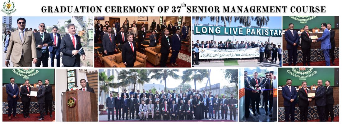 National Institute of Public Administration > Download